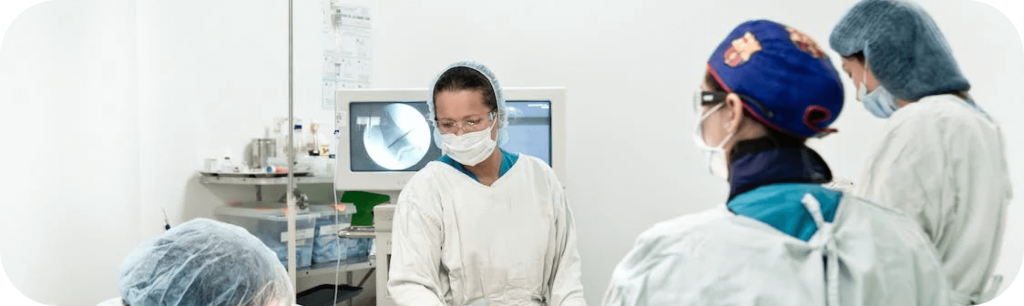 Cirugía (o resección) del intestino delgado - Dr. Santiago Mera